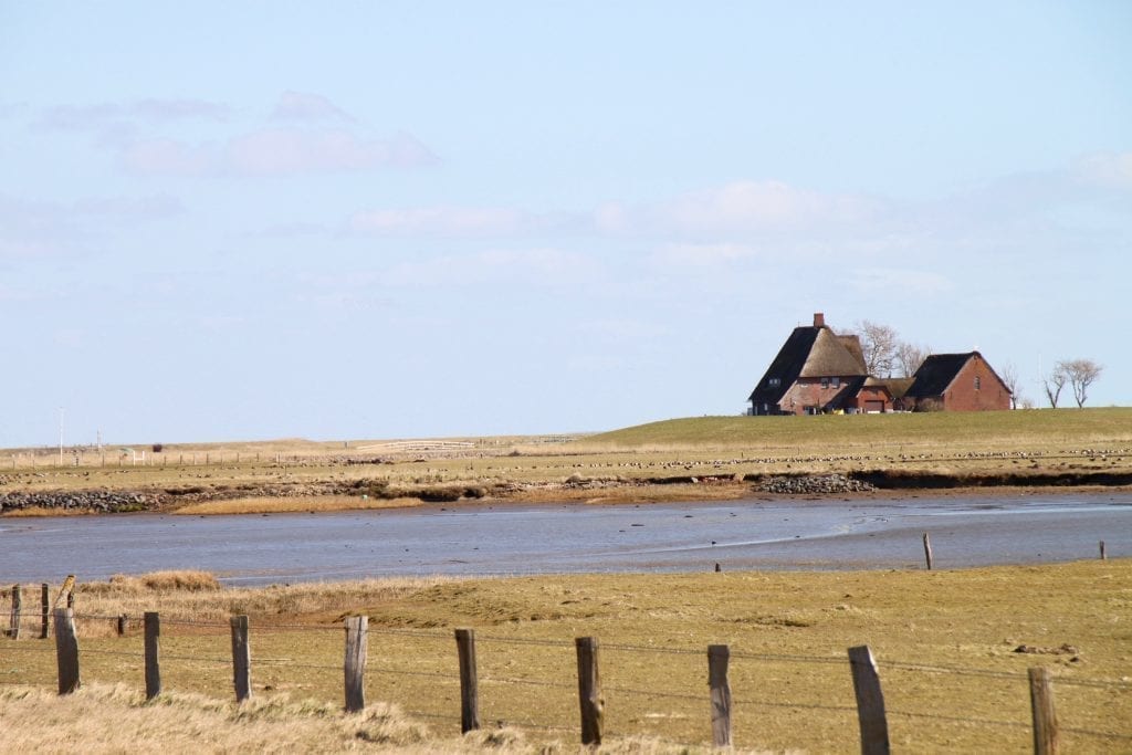 Rauszeit: Ein Kurztrip auf die Hallig Hooge • Wandern