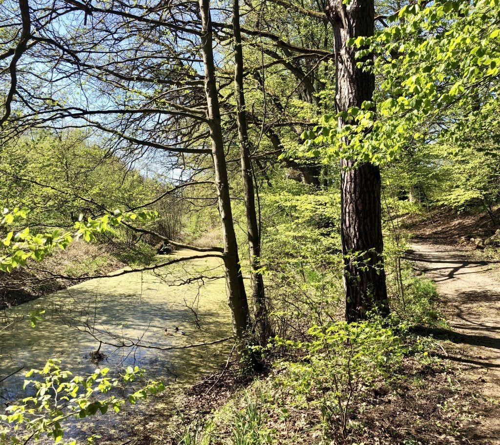 Wandern ab Aumühle: Entlang von Bille und Sachsenwald - Draussenlust.de ...