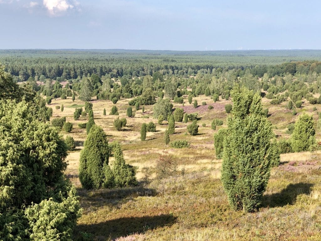 Wanderung in der Lüneburger Heide: Totengrund und Wilseder Berg
