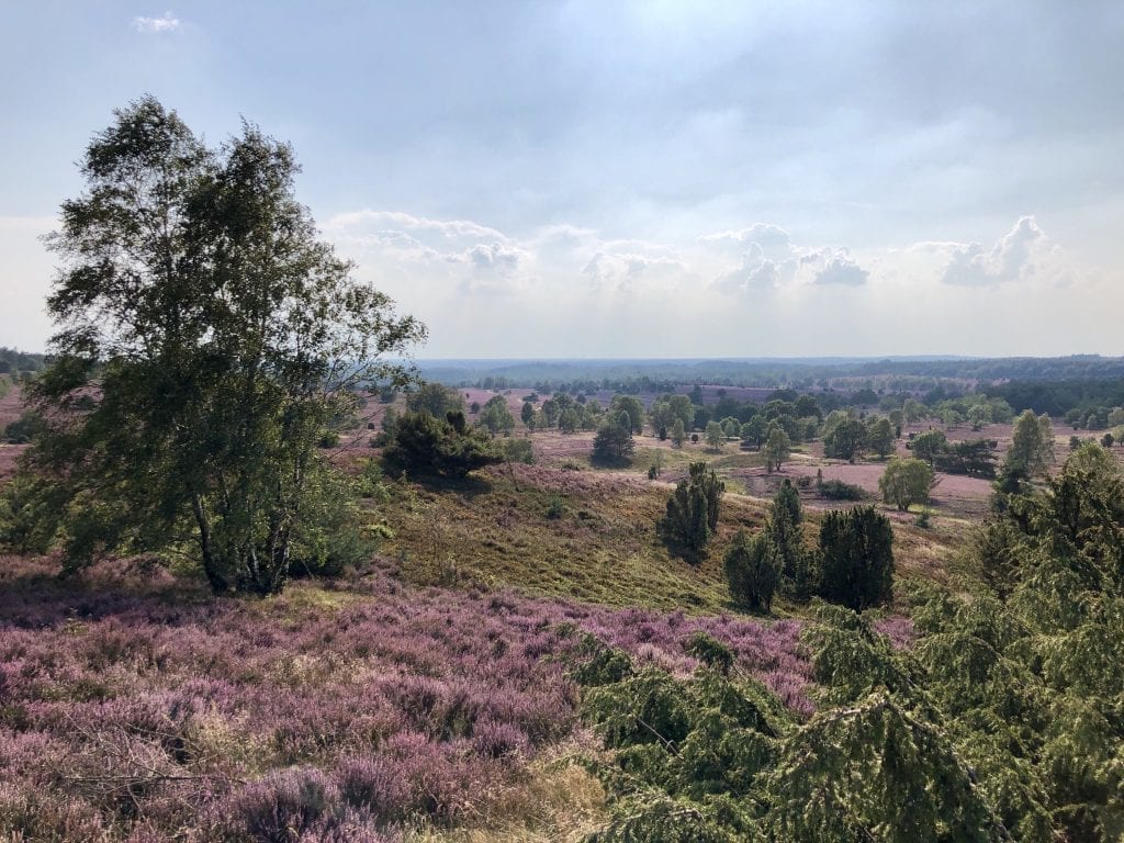 Wanderung in der Lüneburger Heide: Totengrund und Wilseder Berg