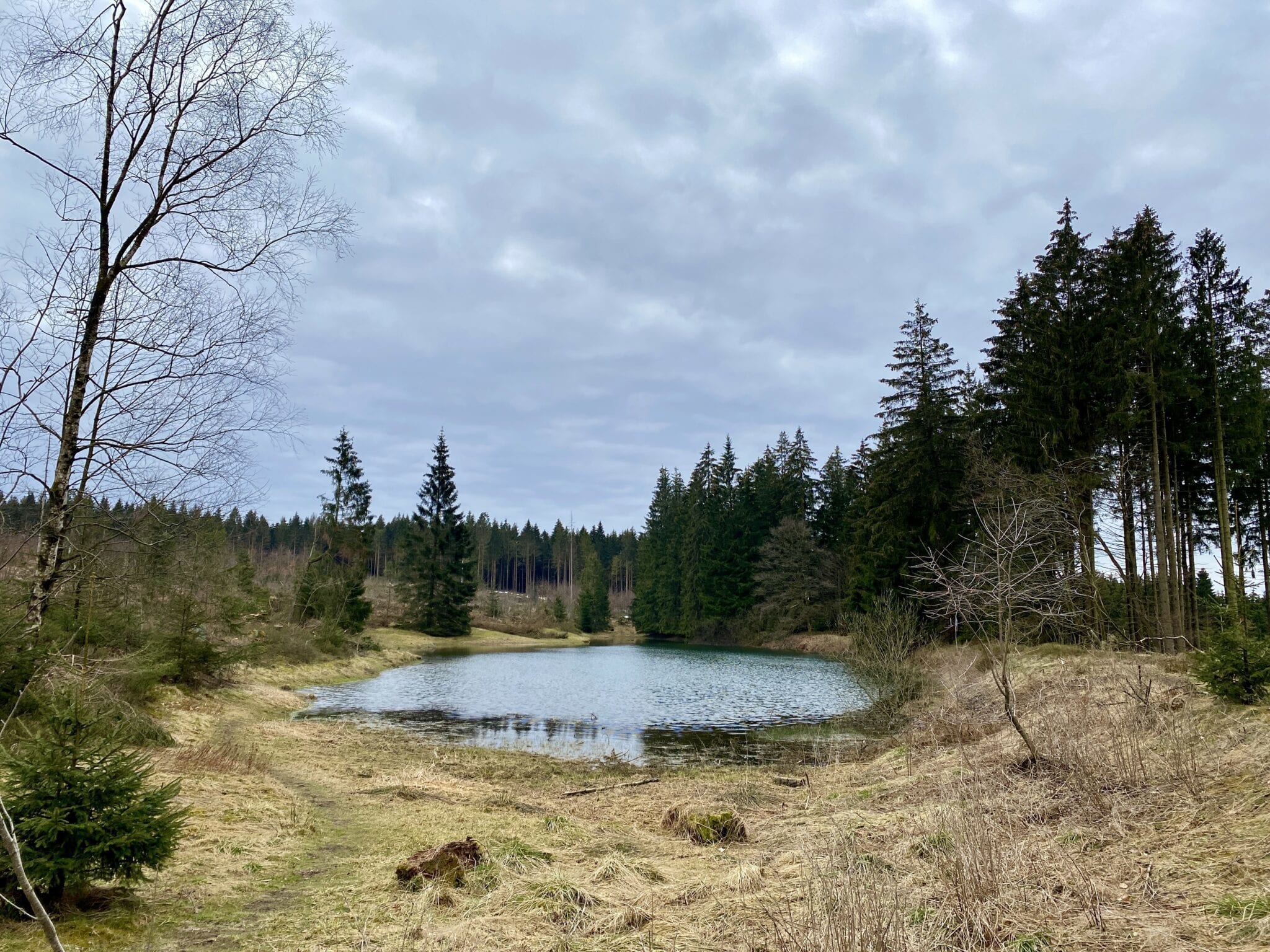 Wanderung im West-Harz: Zur Quelle der Innerste bei Clausthal-Zellerfeld