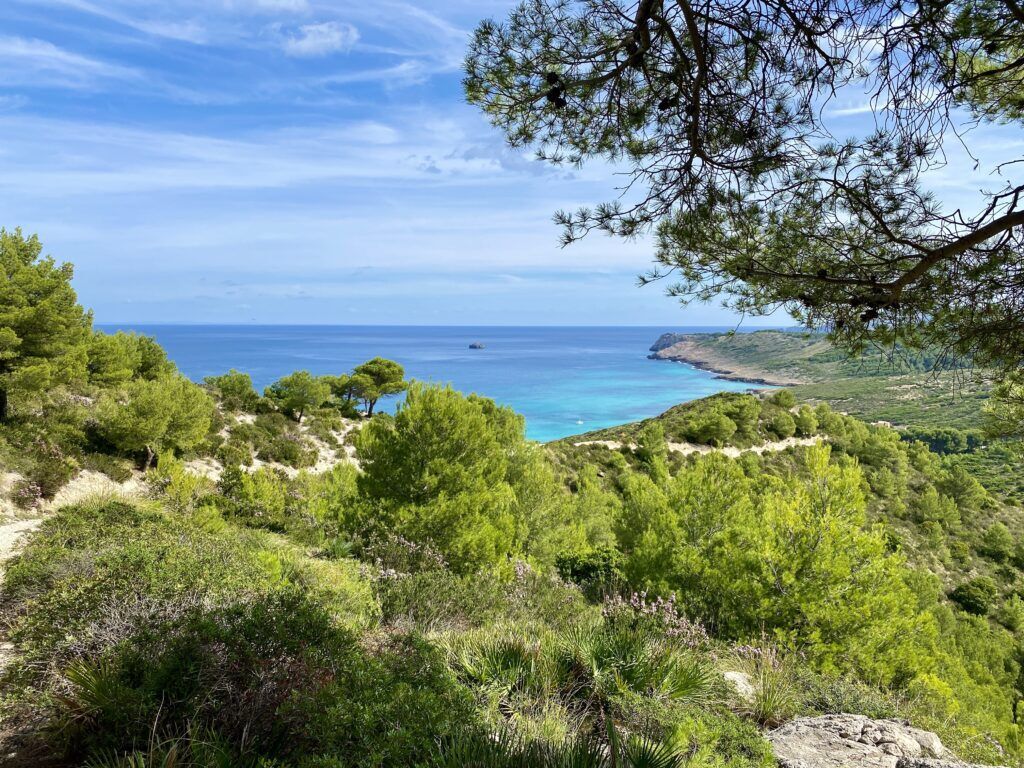 Wanderung auf Mallorca: Durch den einsamen Naturpark Llevant